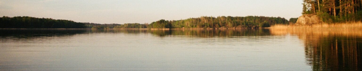 Fishing in Sanguinet: all you need to know - Domaine des Oréades