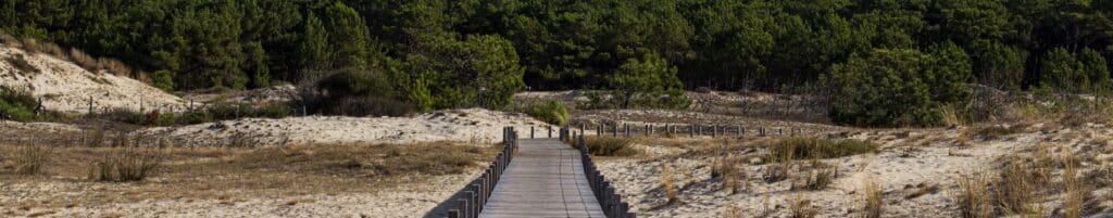 Tourisme à Sanguinet : 10 visites à ne pas louper - Domaine des Oréades