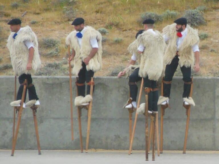 Echasses Landes - Les échassiers landais